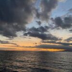 Waikiki to Diamondhead: Sunset BYOB Cruise - Final Thoughts
