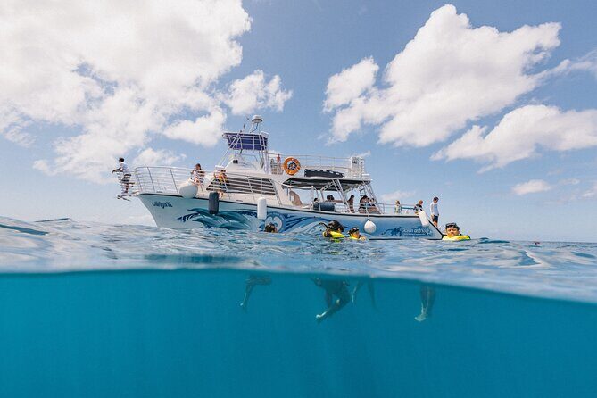 Waikiki Turtle Canyon Snorkeling with Hula Show - The Cultural and Culinary Touch