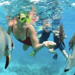 Waikiki Turtle Snorkel Adventure - Why This Tour Stands Out