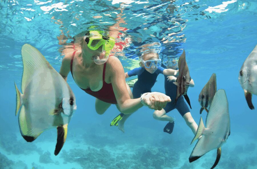 Waikiki Turtle Snorkel Adventure - Why This Tour Stands Out