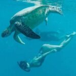 Waikiki Turtle Snorkel & Sail combo on Hawea Catamaran - An Honest Look at the Waikiki Turtle Snorkel & Sail Tour