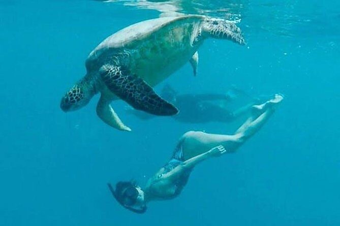 Waikiki Turtle Snorkel & Sail combo on Hawea Catamaran - An Honest Look at the Waikiki Turtle Snorkel & Sail Tour