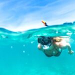 Waikiki: Turtle Snorkeling Cruise with 20ft Jumping Platform - Analyzing the Value