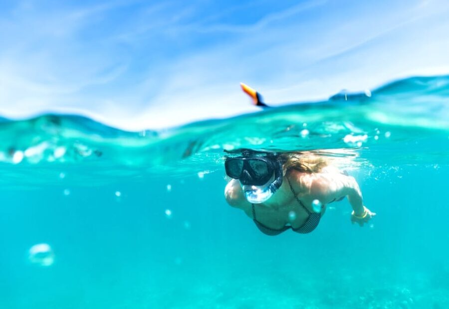 Waikiki: Turtle Snorkeling Cruise with 20ft Jumping Platform - Who Should Book This Tour?