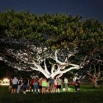 Waikiki: Waikiki Night Marchers Ghostly Walking Tour - Why This Tour Offers Great Value