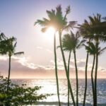 Wailele Luau Including Fire and Knife Performance Plus Dinner - Final Thoughts: Who is This Tour Best For?