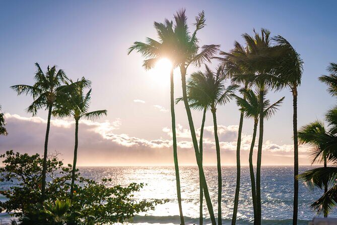 Wailele Luau Including Fire and Knife Performance Plus Dinner - Final Thoughts: Who is This Tour Best For?