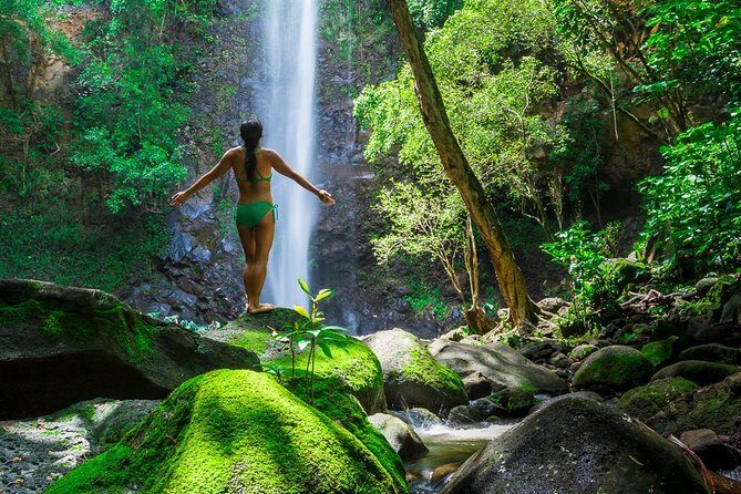 Wailua River Kayak and Sacred Falls Hike With Lunch - An In-Depth Look at the Tour Itinerary