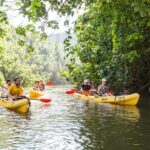Wailua River Paddle - Why This Tour Offers Great Value