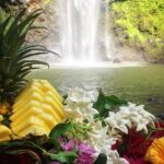 Wailua River & Waterfalls Kayak Tour: Expert-Guided Adventure - A Deep Dive into the Experience