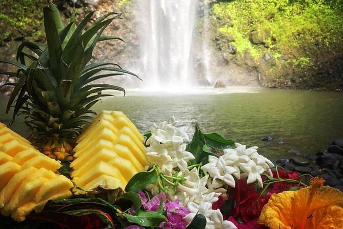Wailua River & Waterfalls Kayak Tour: Expert-Guided Adventure - A Deep Dive into the Experience