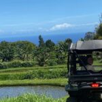 Waipio on Horseback: Mountain Ocean Views Working Cattle Ranch - Value and Pricing