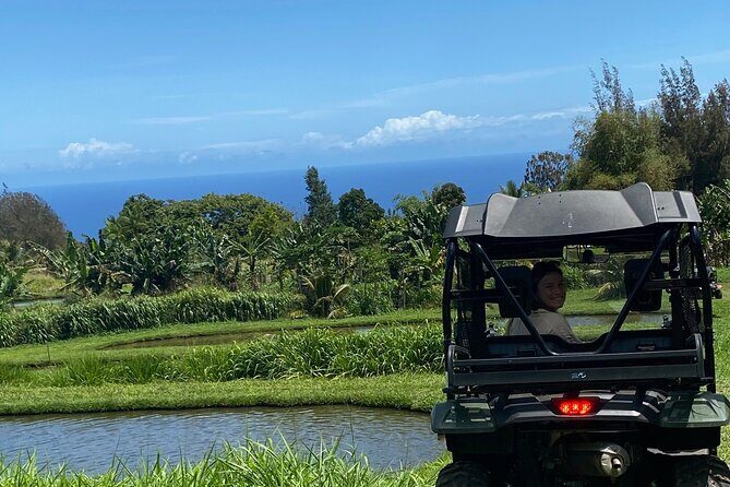 Waipio on Horseback: Mountain Ocean Views Working Cattle Ranch - Value and Pricing