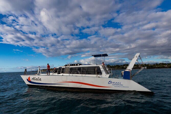 Wake up with the Whales Cruise from Kawaihae Harbor - The Value of the Guarantee and the Overall Experience