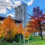 Walking tour in Manhattan Brooklyn Bridge and Waterfront - Practical Details and What You Can Expect