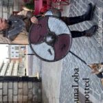 Walking Tour of Dublins Viking/Medieval Quarter with a Viking - Practical Details to Know