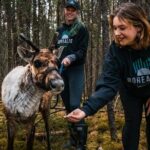 Walking with Reindeer Experience - Who Will Love This Experience?