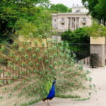 Warsaw Half-Day Private Panoramic Tour - Value and Considerations