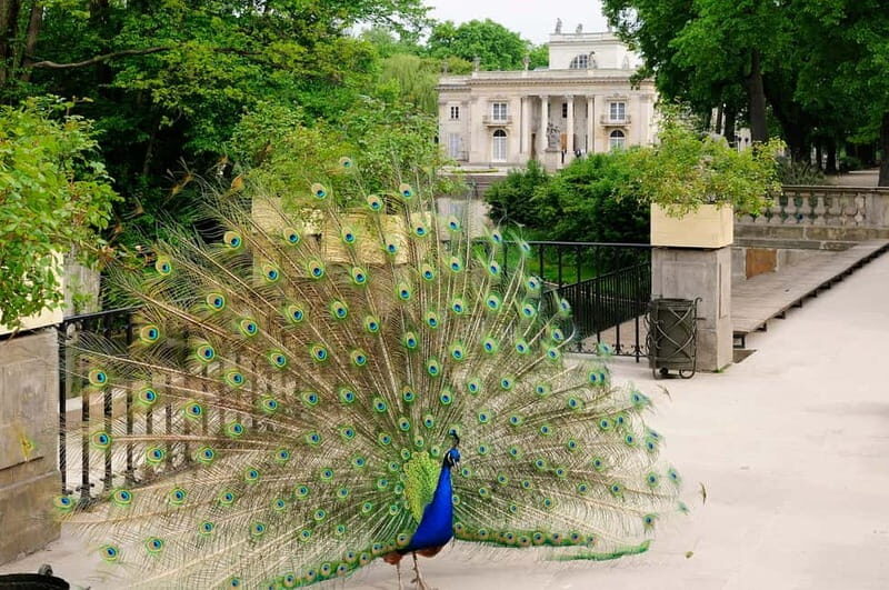 Warsaw Half-Day Private Panoramic Tour - Value and Considerations