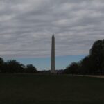 Washington D.C.: Comedy Walks Stand-Up Comedy Show - What to Expect