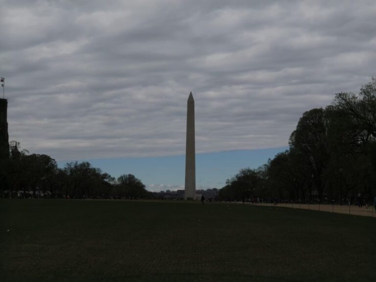 Washington D.C.: Comedy Walks Stand-Up Comedy Show - What to Expect