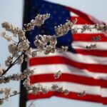 Washington, D.C.: Small Group Tour by Van - Dinner Break: Flexibility and Choice