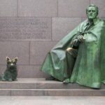 Washington DC 3 Hour Day Tour - Practical Details and What’s Included