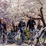 Washington DC Cherry Blossoms By Bike Tour - Detailed Breakdown of the Itinerary
