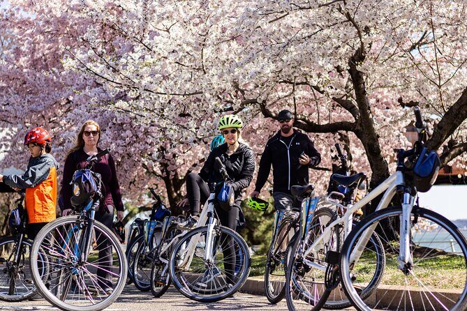 Washington DC Cherry Blossoms By Bike Tour - Detailed Breakdown of the Itinerary