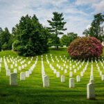 Washington DC Day Tour from New York City - The Experience: What You Can Expect