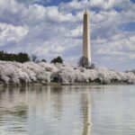 Washington DC: Half-Day Bus Tour with Optional Museum Ticket - Who Will Enjoy This Tour?