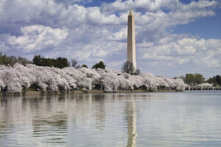 Washington DC: Half-Day Bus Tour with Optional Museum Ticket - Who Will Enjoy This Tour?