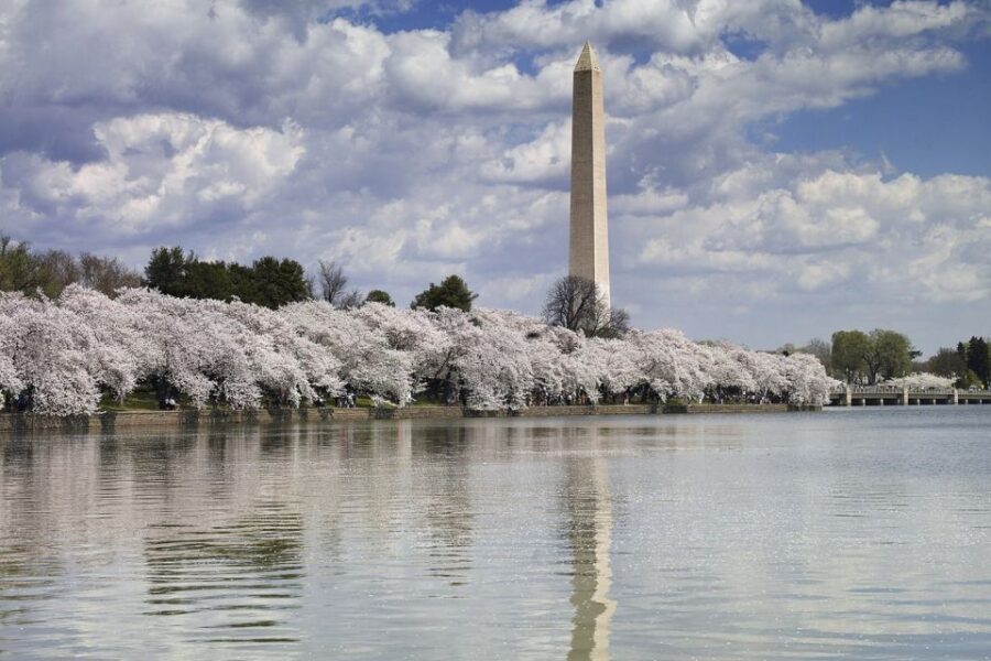 Washington DC: Half-Day Bus Tour with Optional Museum Ticket - Who Will Enjoy This Tour?