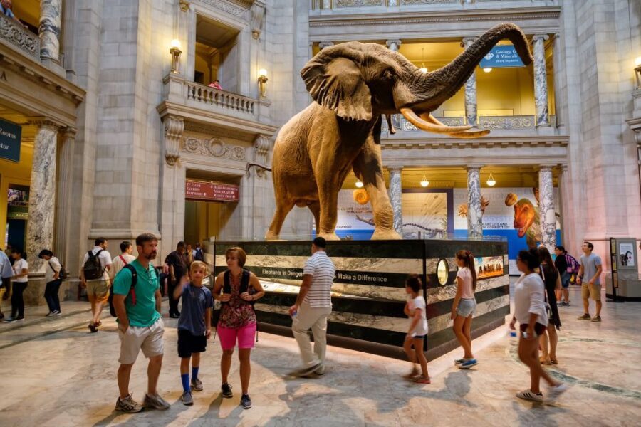 Washington DC: Museum of Natural History Private Guided Tour - FAQ