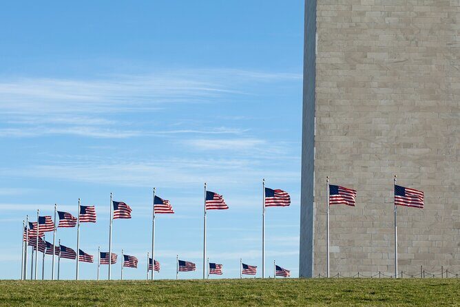 Washington DC Night-Time City Tour with Visit to Mount Vernon - Who Will Love This Tour?