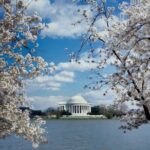 Washington DC Private Tour with Luxury SUV and Tour Guide - Final Thoughts