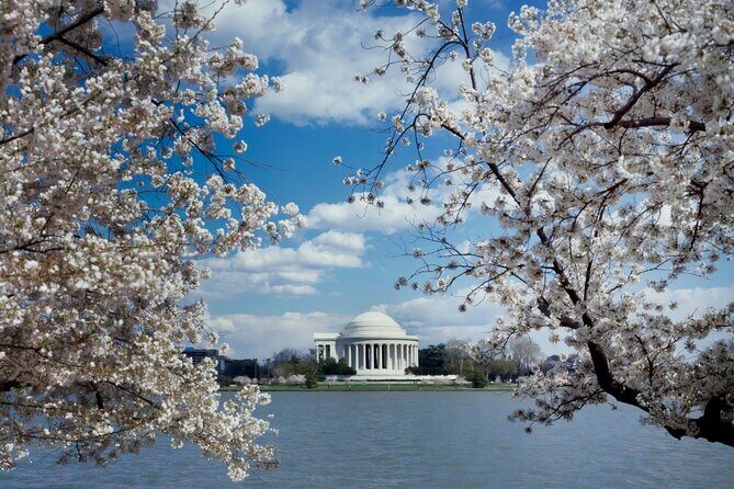 Washington DC Private Tour with Luxury SUV and Tour Guide - Final Thoughts
