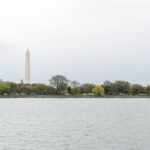 Washington DC Unlimited Two Day Water Taxi Pass - Why This Tour Suits Certain Travelers Best