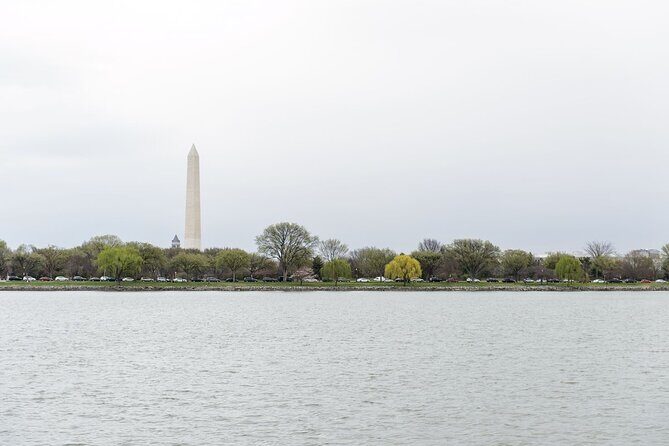 Washington DC Unlimited Two Day Water Taxi Pass - Why This Tour Suits Certain Travelers Best