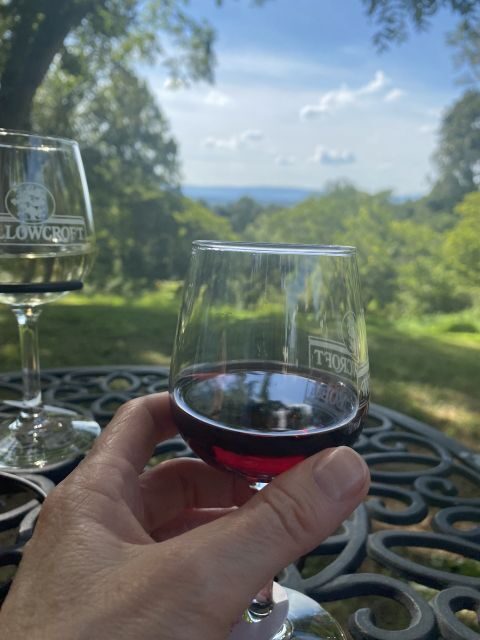 Washington, DC: Virginia Wine Region Experience Tour - The Wineries and What Makes Them Special