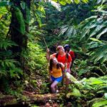 Waterfall, First One On The Road to Hana, Chocolate tour - Who Will Love This Tour?