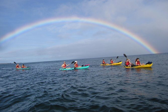 Waterfall Hike and Kayak Snorkel & Paddle from Makena - The Appeal of the Tour: Pros and Cons