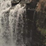 Waterfall Rappelling at Kulaniapia Falls: 120 Foot Drop, 15 Minutes from Hilo - Who Will Appreciate This Tour?