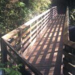 Waterfall Wonderland Hike with Transport - What Makes This Tour Special?