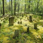 Wears Valley: Peaceful Smokies & 1882 Historic Schoolhouse - The Trail to the 1882 Schoolhouse