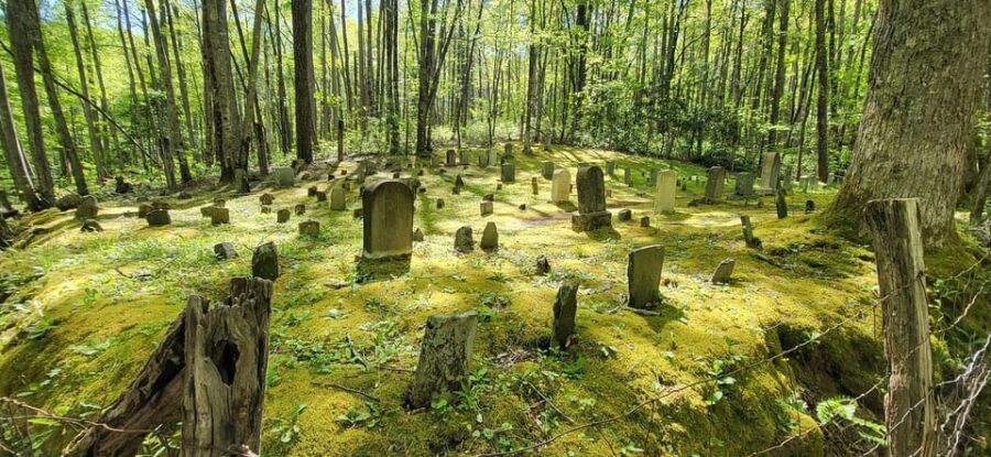 Wears Valley: Peaceful Smokies & 1882 Historic Schoolhouse - The Trail to the 1882 Schoolhouse