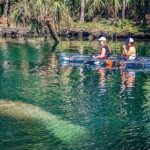 Weeki Wachee Clear Kayak Ecotours Manatee Season - November 14th-March 31st - What the Reviews Tell Us