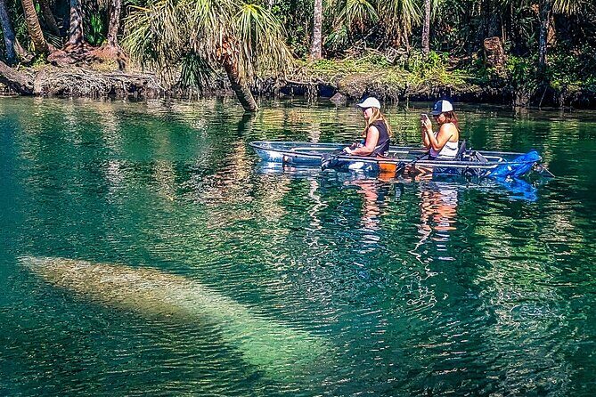 Weeki Wachee Clear Kayak Ecotours Manatee Season - November 14th-March 31st - What the Reviews Tell Us