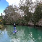 Weeki Wachee Clear Paddle Board Ecotours - What to Expect from Your Weeki Wachee Paddle Board Tour