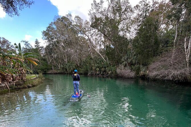 Weeki Wachee Clear Paddle Board Ecotours - What to Expect from Your Weeki Wachee Paddle Board Tour
